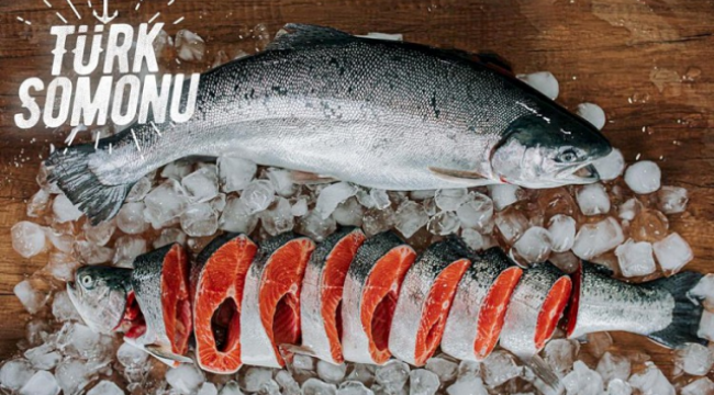 Türk Somonu - Aqua Life of Turkey