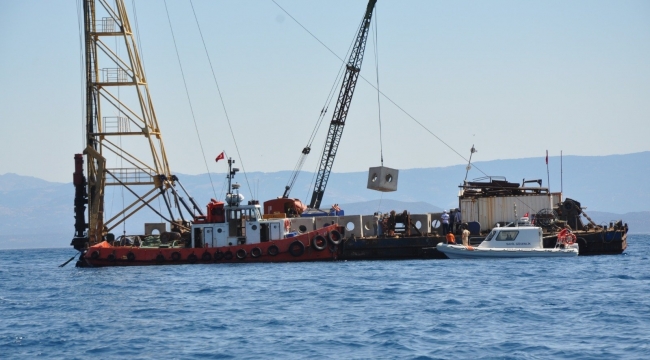 Innovative solution: Artificial reefs help boost Türkiye's fish numbers ...